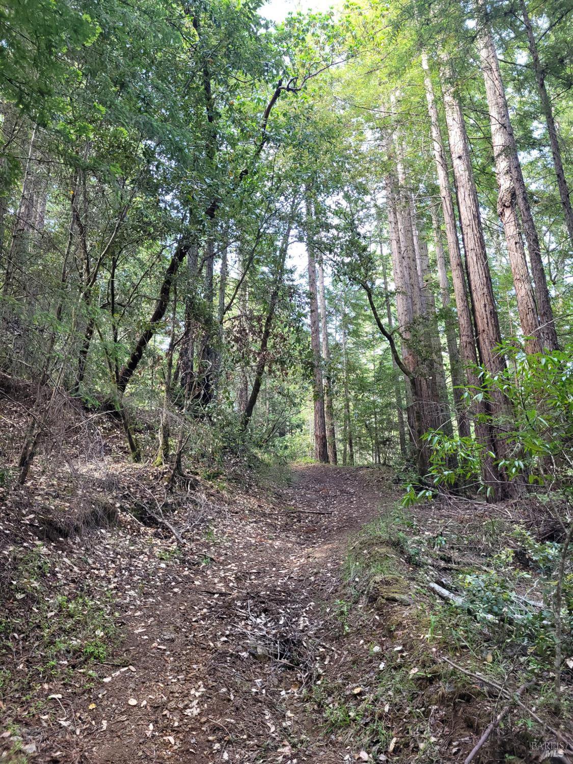 Lot Group 1 Tyrone Road, Camp Meeker, 95419