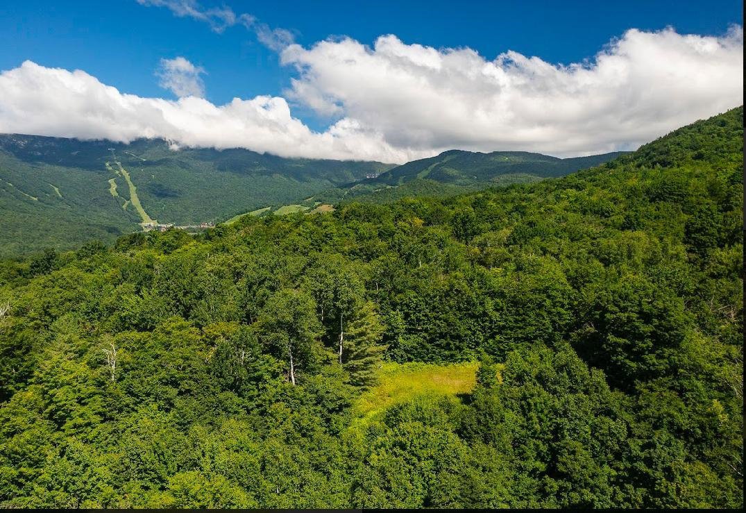 00 Robinson Springs Rd, Stowe, 05672