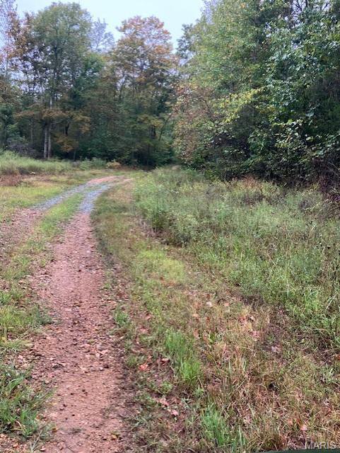178 Madison County Road 410, Fredericktown, 63645