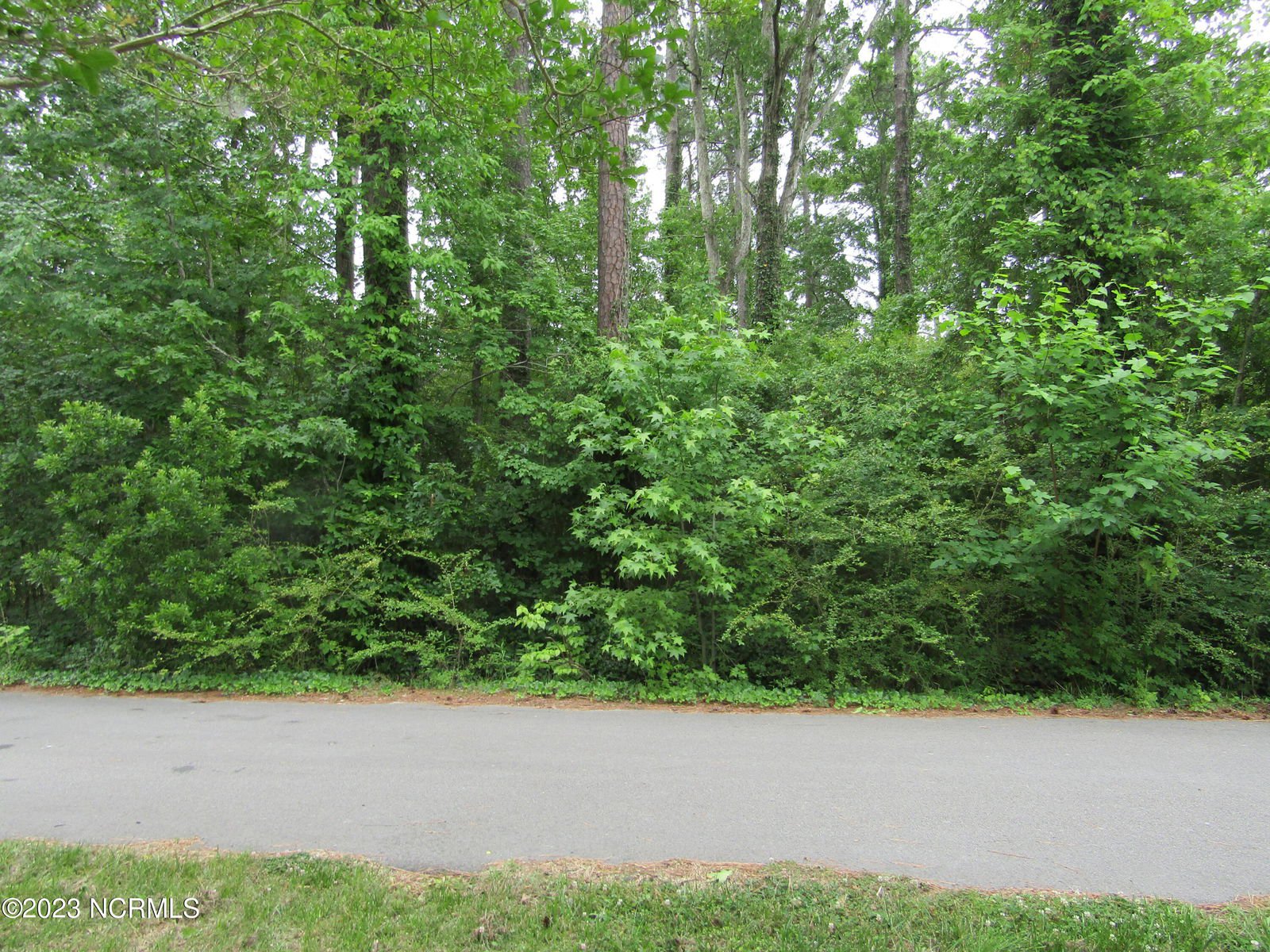 Lot 8 Quail Drive, Plymouth, 27962