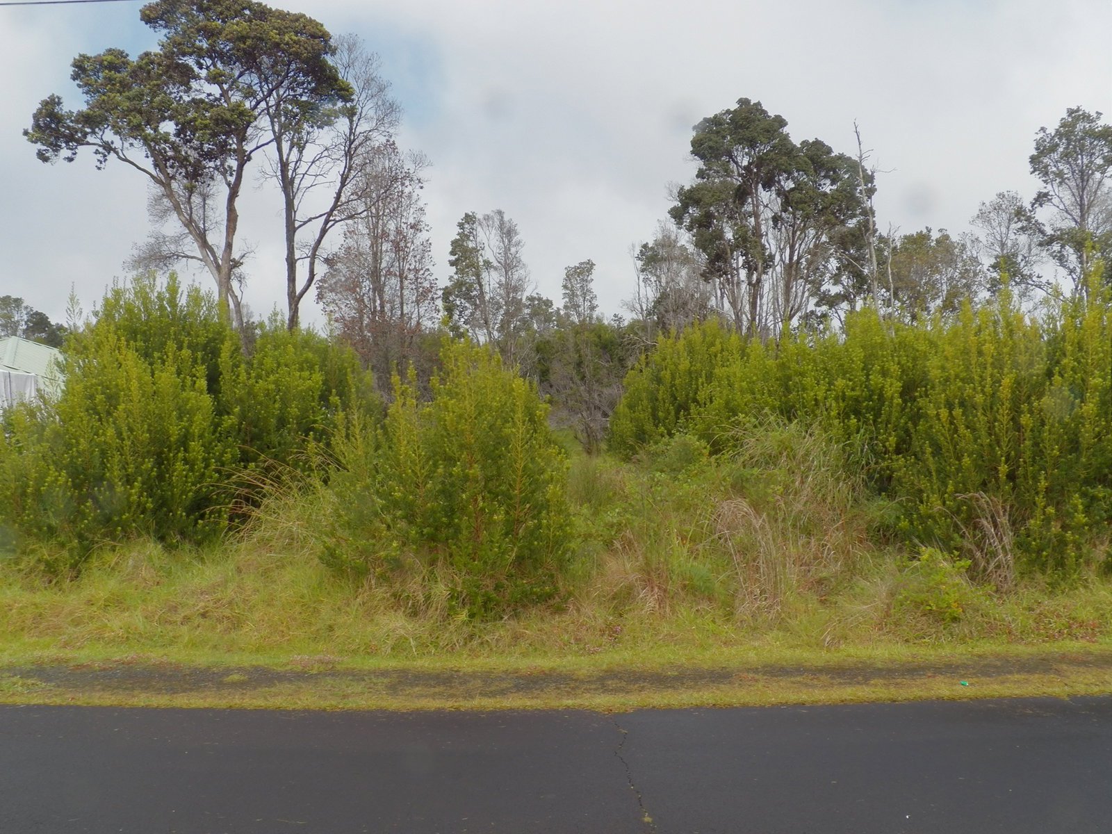 Pukeawe Cir, VOLCANO 96785 Hawaii