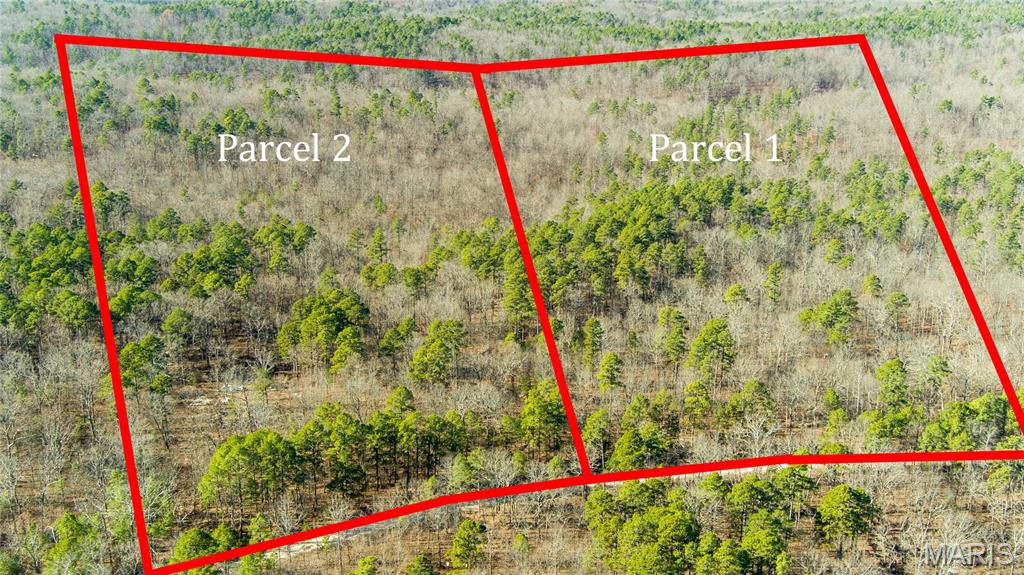 7183 County Road 5600 Parcel 2, Salem, 65560