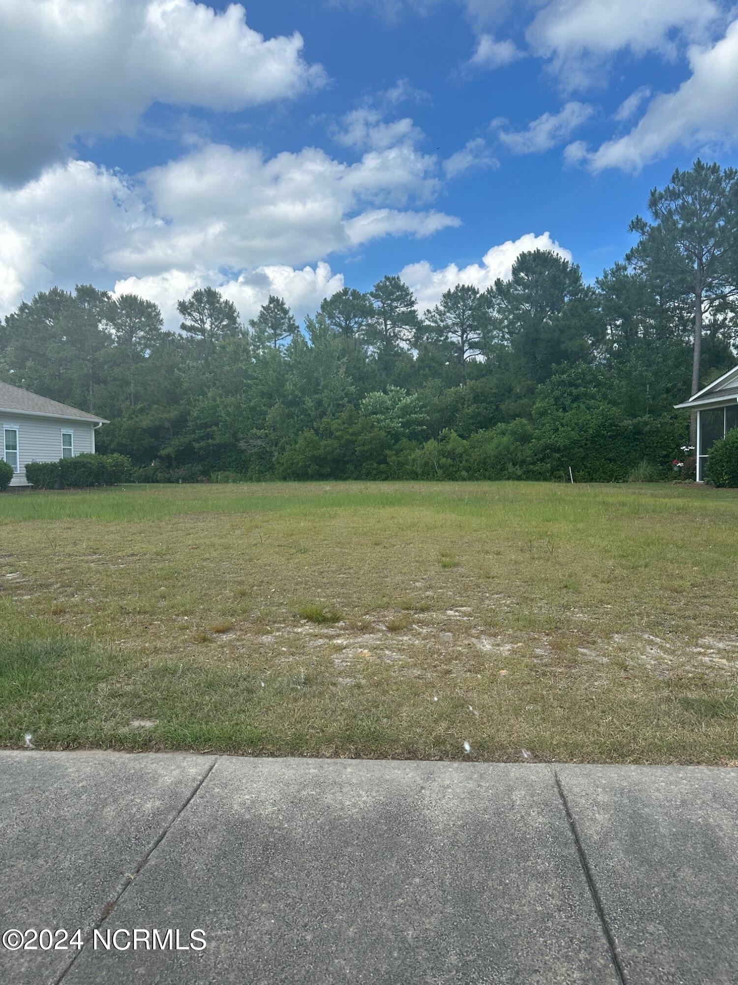 2151 Palm Point NE, Leland, NC 28451 Home for Sale