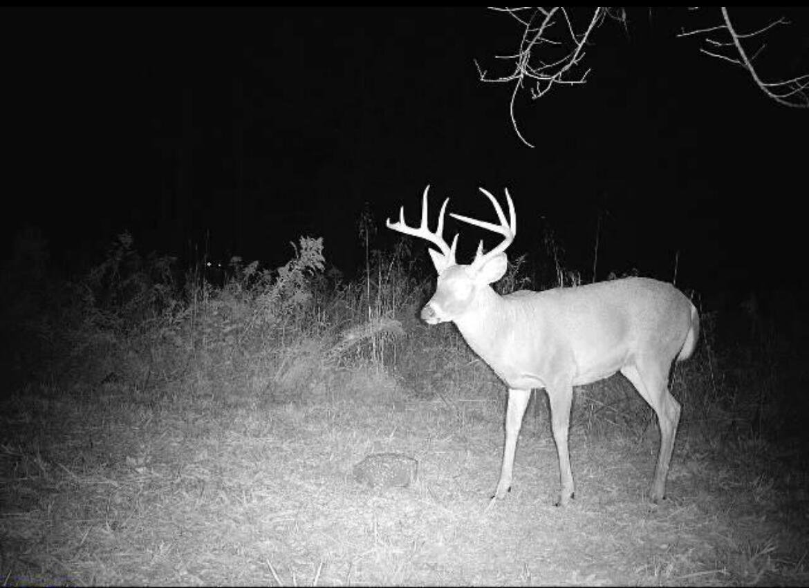 1407 Denton Phelps Road, Somerset, 42501