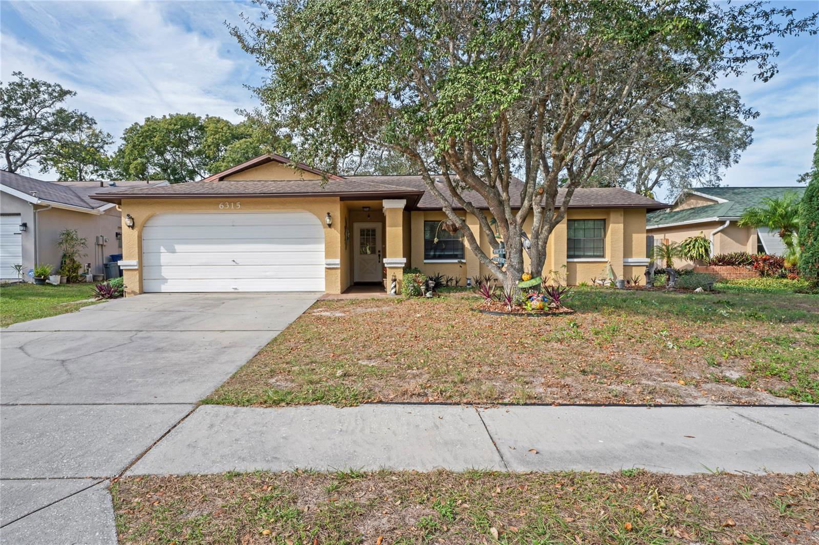 6315 Shane Lane, New Port Richey, 34653