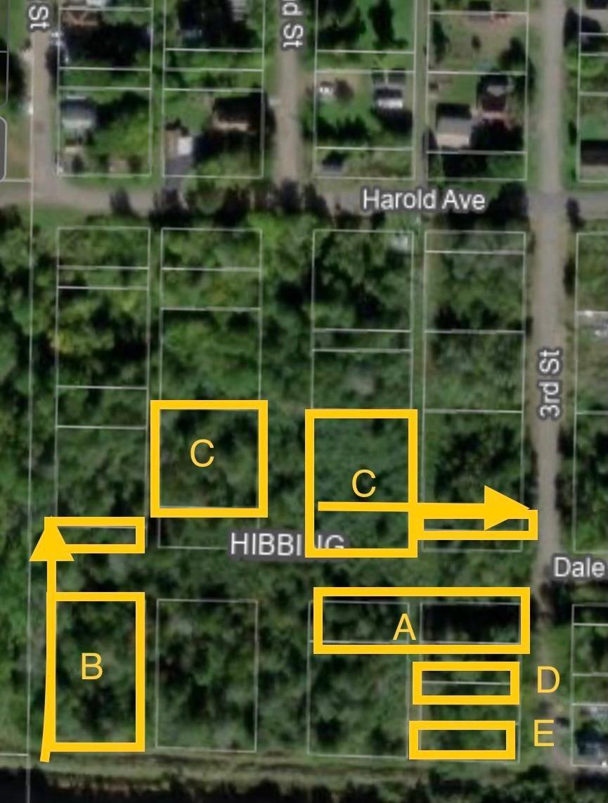TBD 3rd Street Littonia, Hibbing, 55746