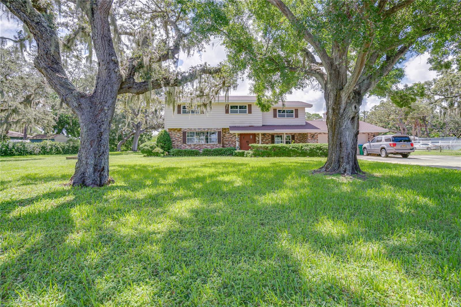 6625 Burning Tree Drive, Seminole, 33777